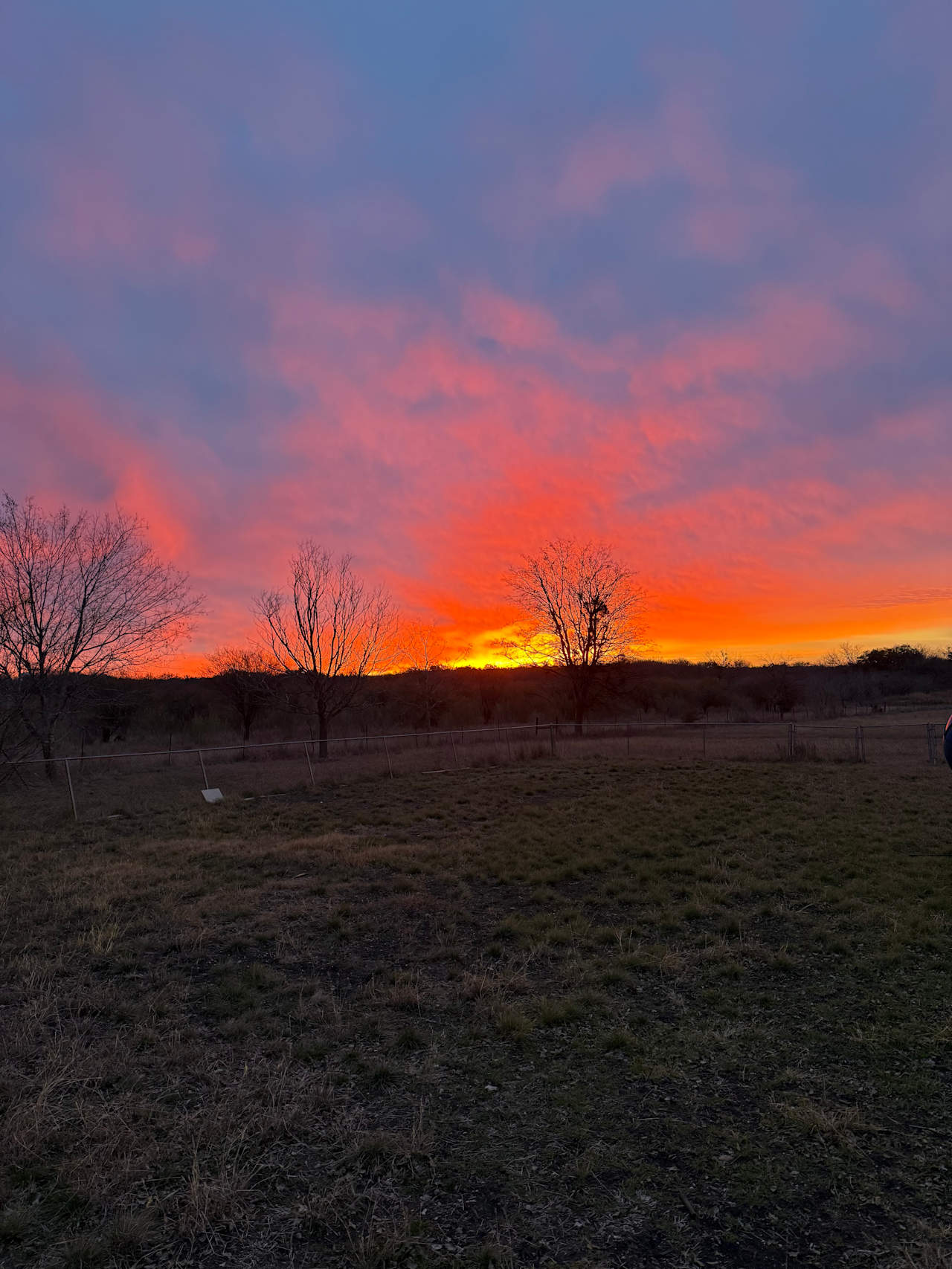 A post from lesleeh in Cibolo.