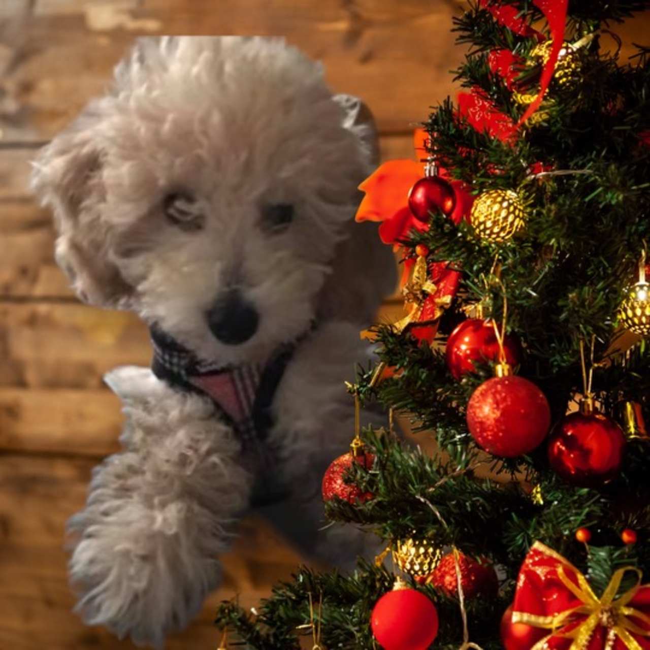 A post from connie todd in Winter Garden.