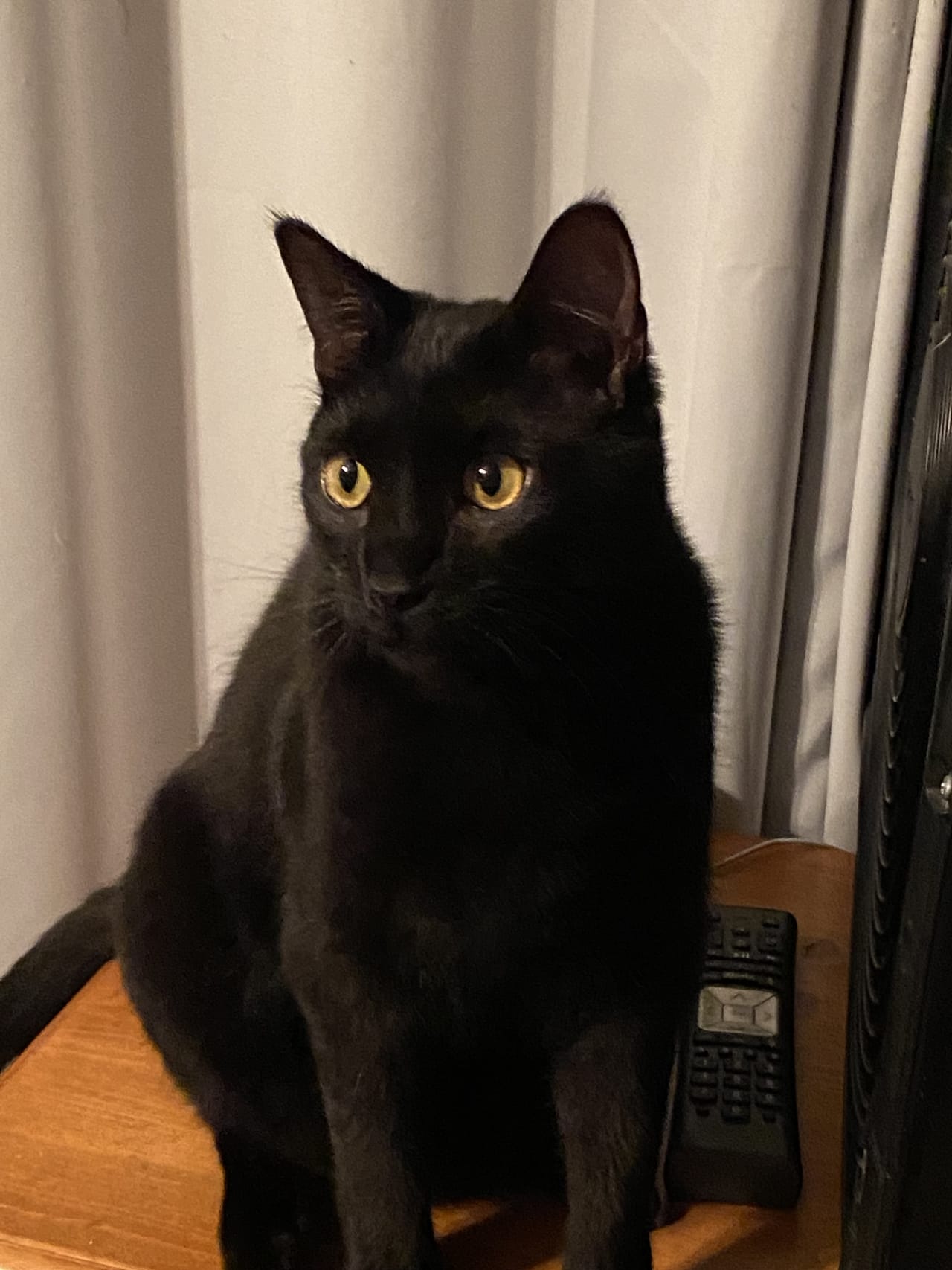 A post from smiley dava in Jacksonville.