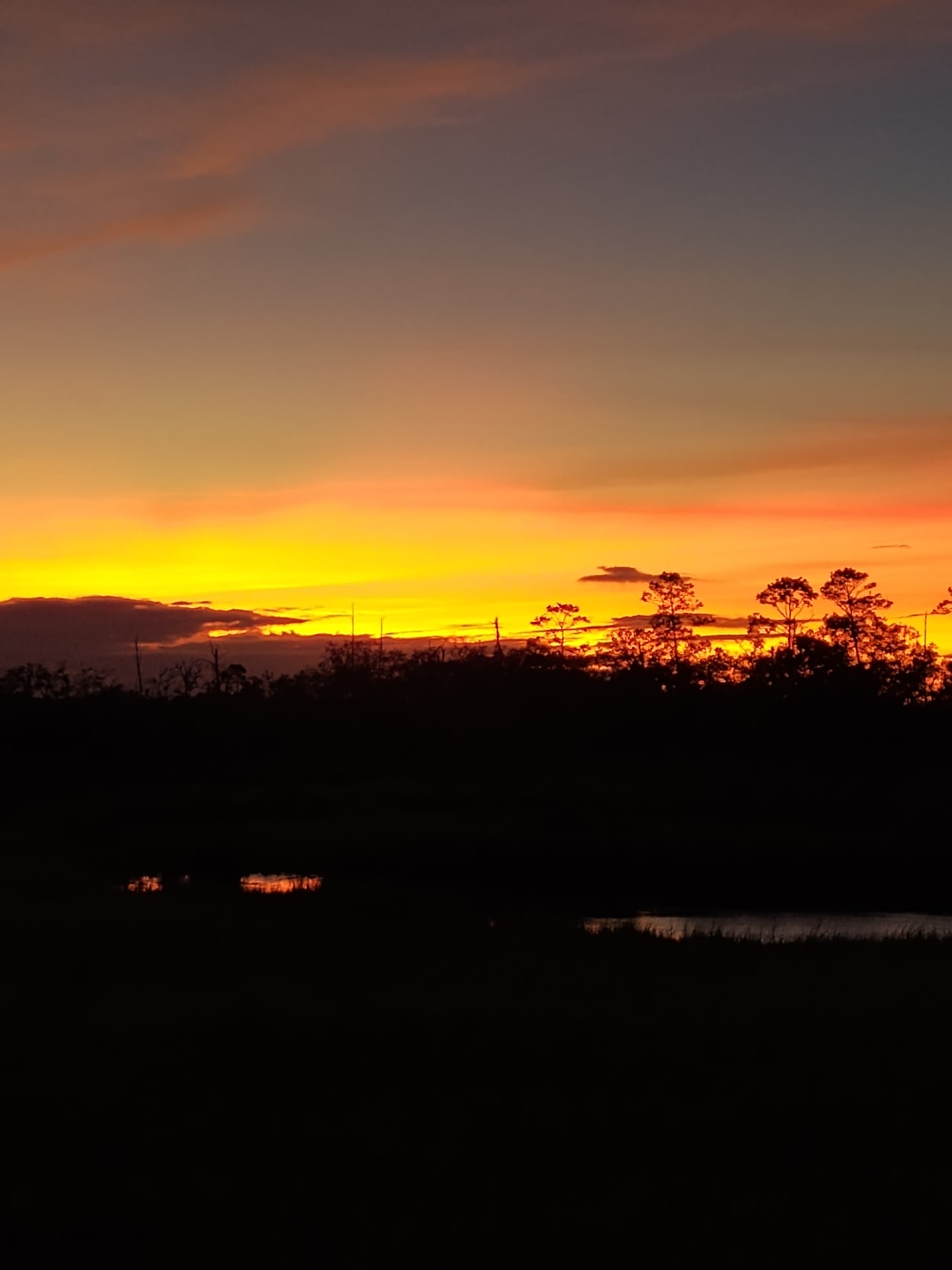 A post from Atlantic Beach ed in Jacksonville.