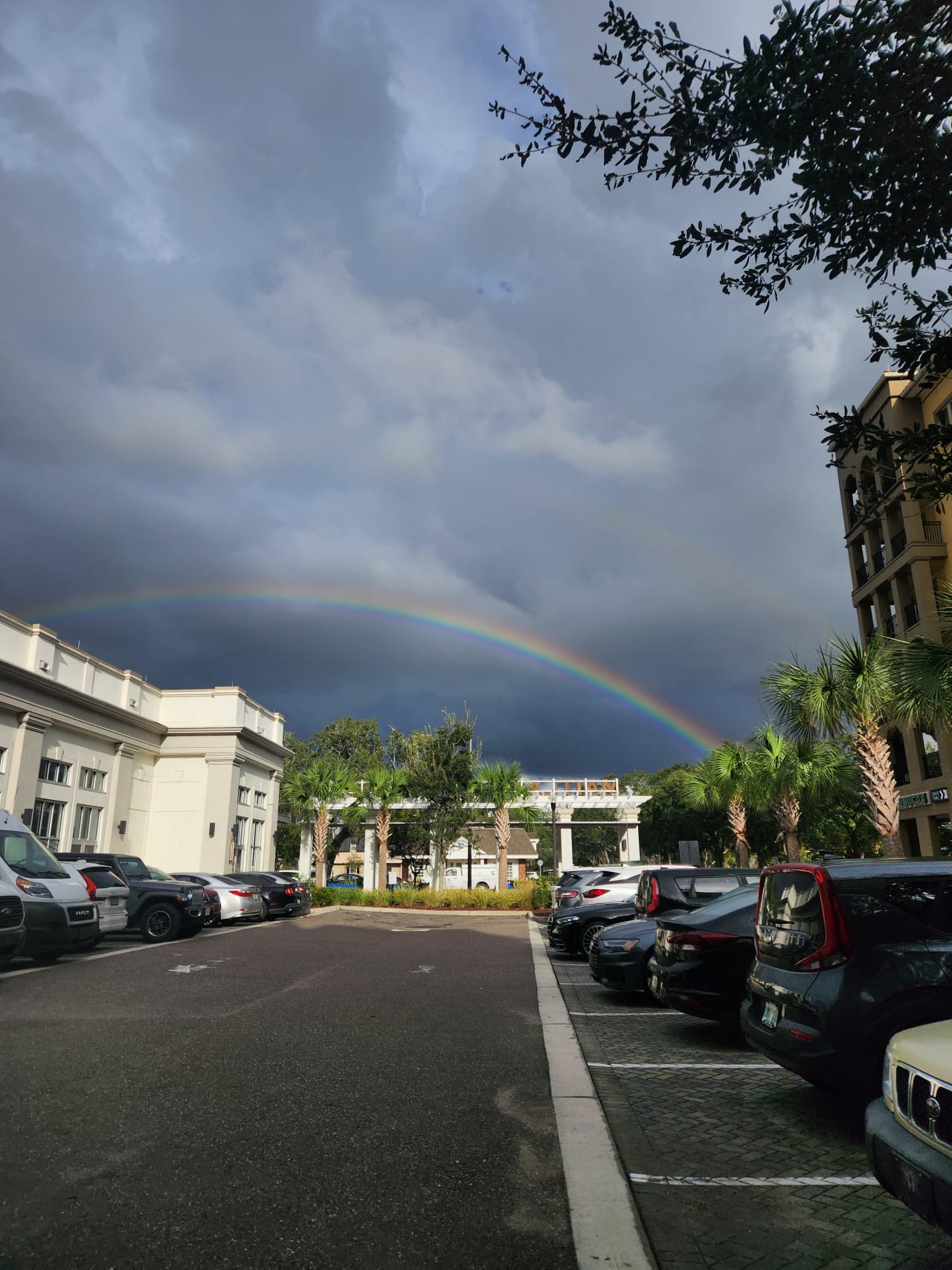 A post from Brenda Argueta in Maitland.