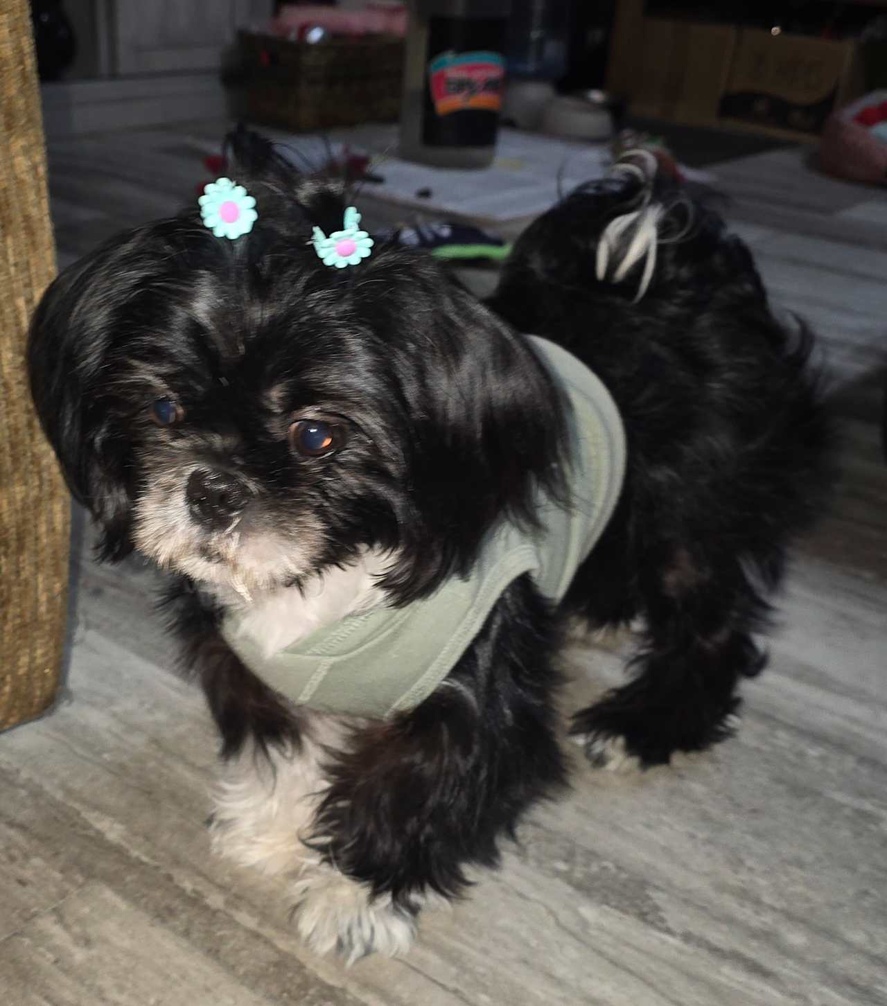 A post from Brenda Castro in Devine.