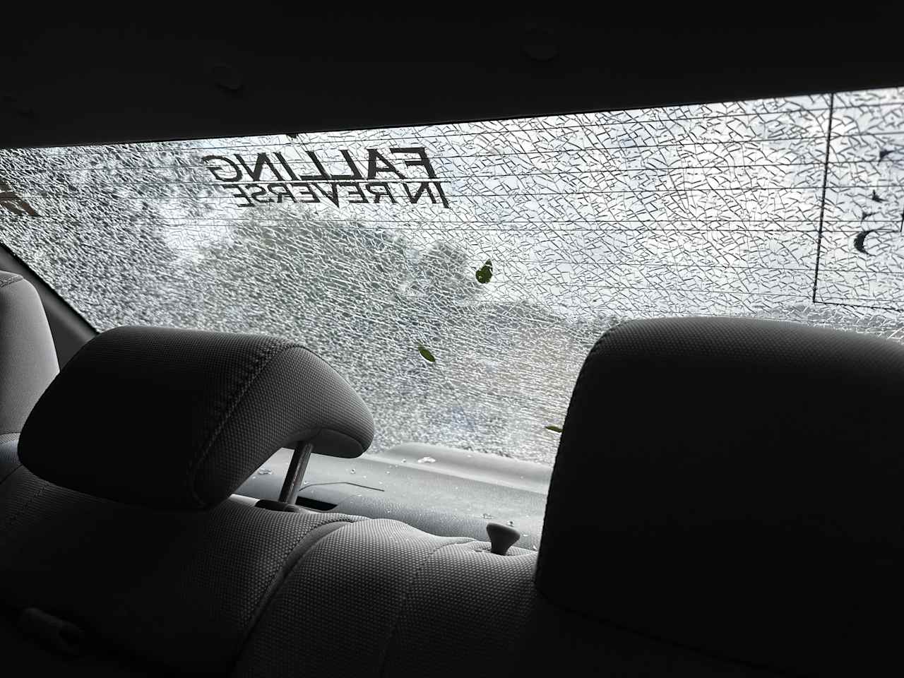 A post from Kinley Rice in Far West Side.