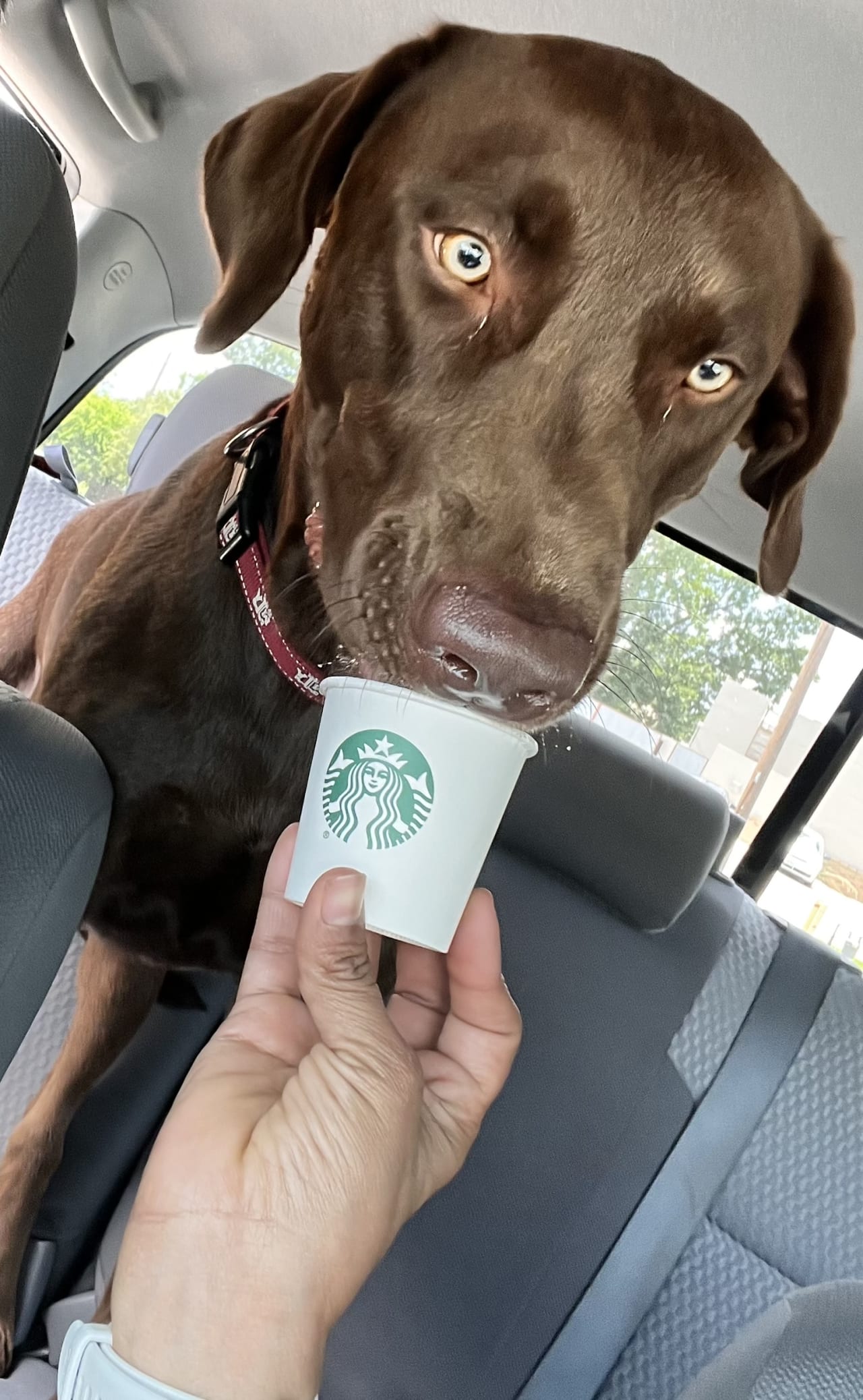 A post from Vic Castillo in San Antonio.