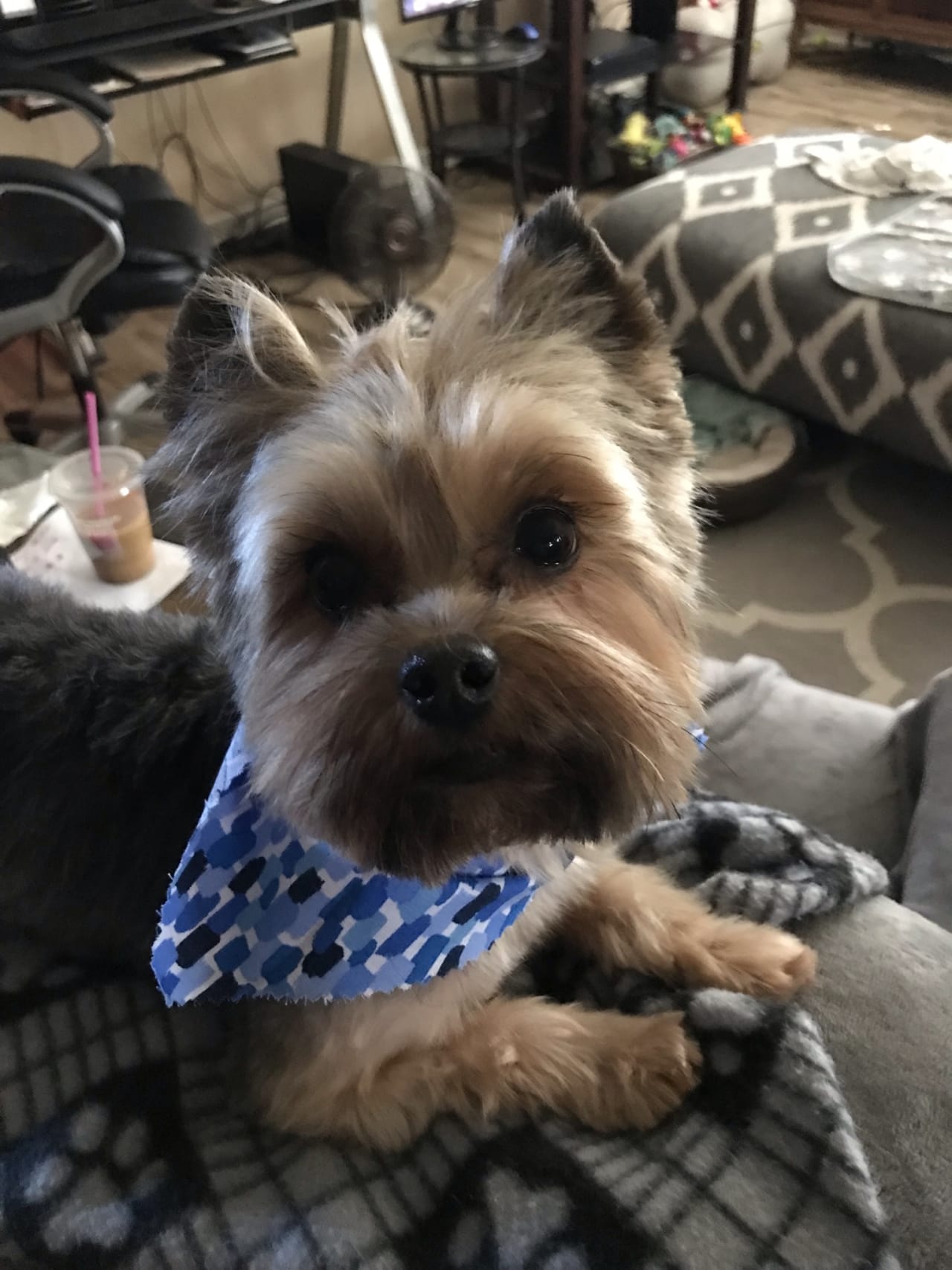 A post from Teri in Houston.