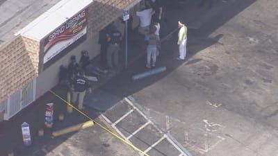 Miami Gardens Gangs | Fasci Garden