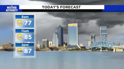 Warm weather means its time to wrangle weeds