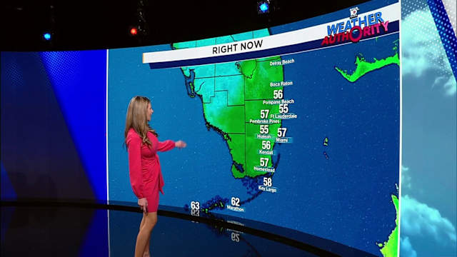 WPLG Local 10 | Miami News, Fort Lauderdale News, Weather | Local10.com
