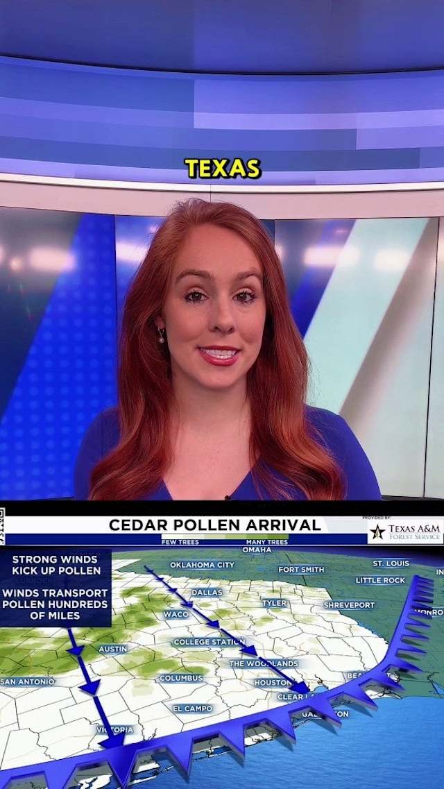 621 area code houston