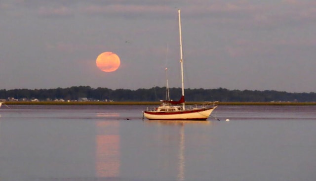Look up: Hunter’s Moon, Orinoid meteor shower light up sky