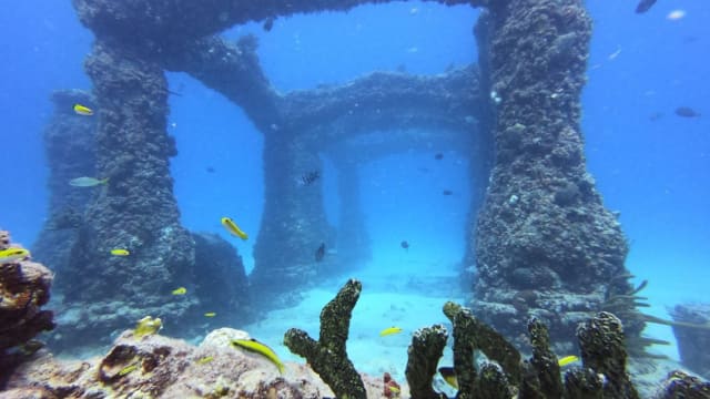 underwater graveyard