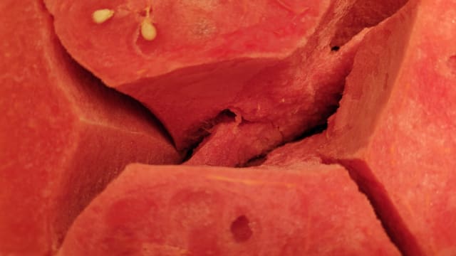 watermelon falling apart inside