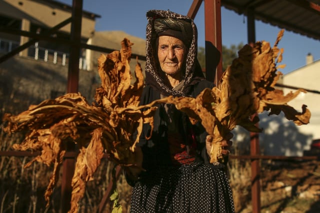 Record inflation squeezes Turkish tobacco workers, owners