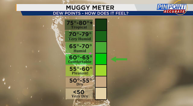 Here’s why Florida feels so much more comfortable in the fall, despite ...