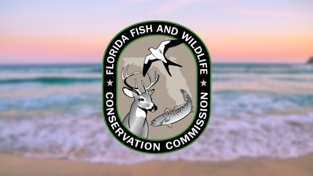 Florida Wildlife Conservation