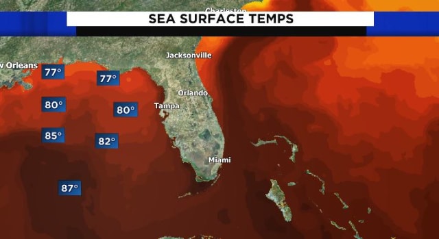 Disturbance likely to develop in the Gulf of Mexico next week. Could it ...