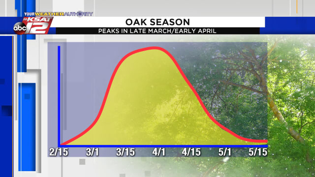 oak tree pollen worms