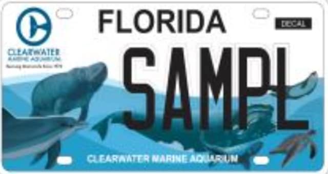 Florida License Plate Designs