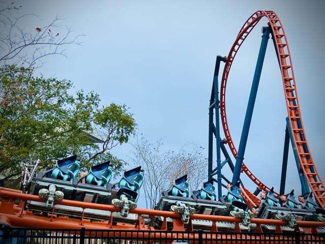 ice cube roller coaster