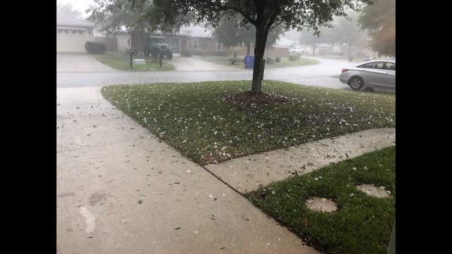Horses run for cover as spiked hail falls in St. Johns County