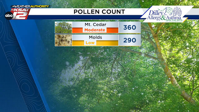 pollen count