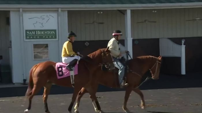 Off to the races! Gearing up for the 2024 live racing season at Sam ...