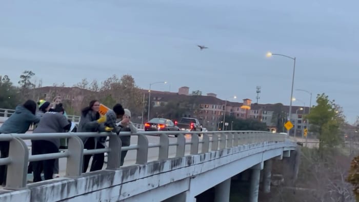 More than 200 cold-stunned bats released back to their colony under ...