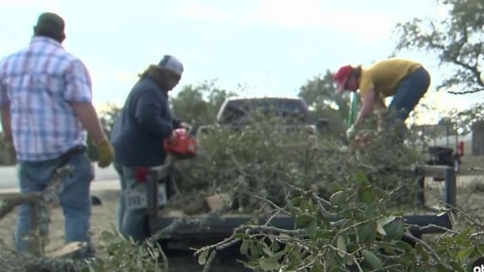 Tree branch clean-up takes multiple days and extra helping hands after ...
