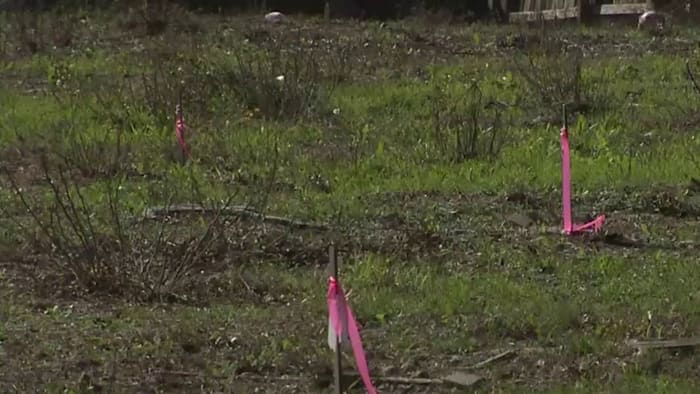 Descendants reclaim land that was part of lost family cemetery