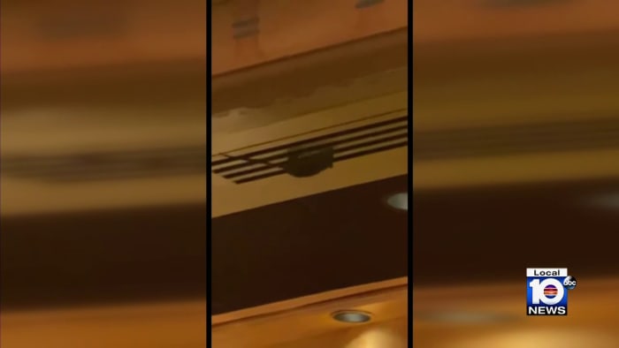 State finds no rodent issues in Aventura Mall Cheesecake Factory after ...