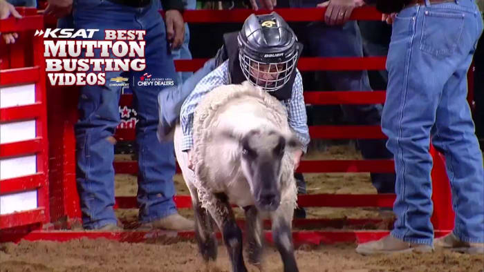 Fun night of Mutton Busting at the San Antonio Stock Show & Rodeo