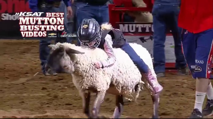 'Hold on tight': Child hangs on for a ride during rodeo's Mutton Busting