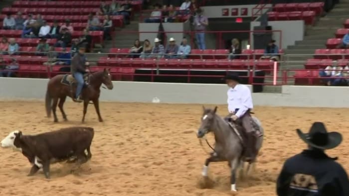 RodeoHouston: Preview of one of the world's most prestigious horse ...