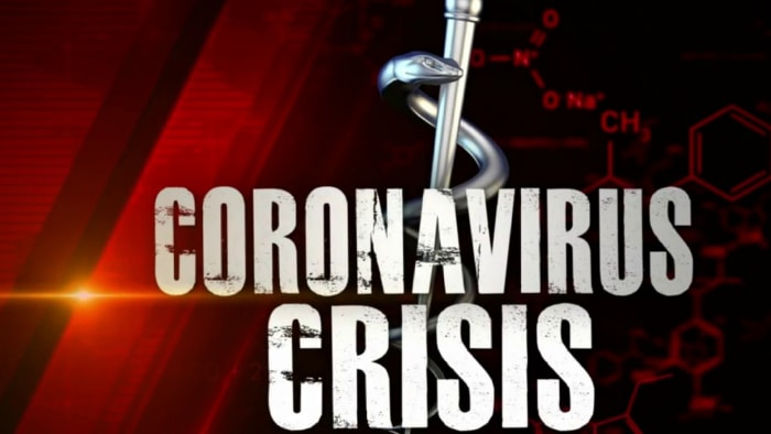Is coronavirus spread by insects? Who should take different precautions?