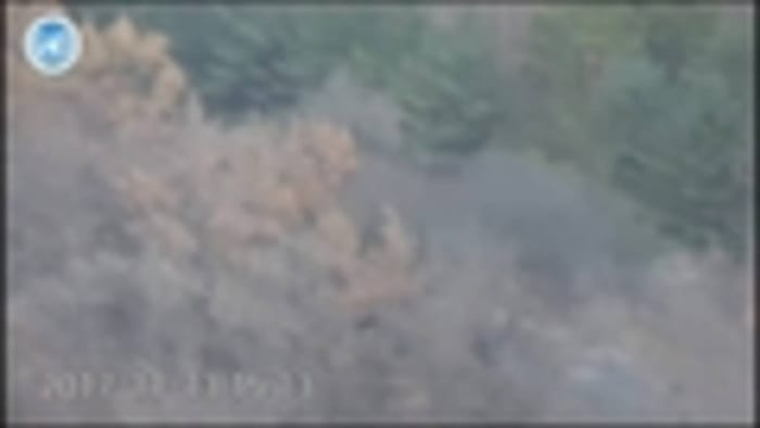 Video shows North Korean defector escaping across border while being ... Video shows North Korean defector escaping across border while being ...