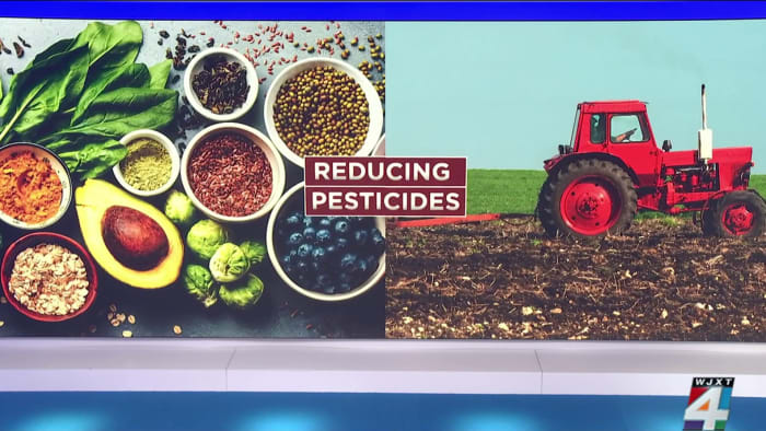 Before you fill your cart, know which produce has highest, lowest ...