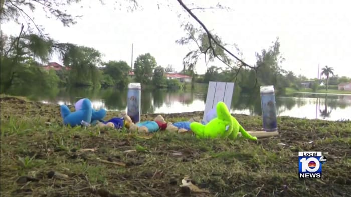 ‘Make it safer for other children’: Twin brothers’ drowning raises ...