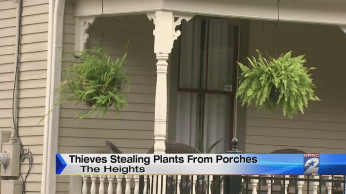 Thieves steal plants from porches in The Heights