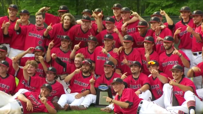 Lynchburg Hornets win 2021 ODAC Baseball Championship with walk-off
