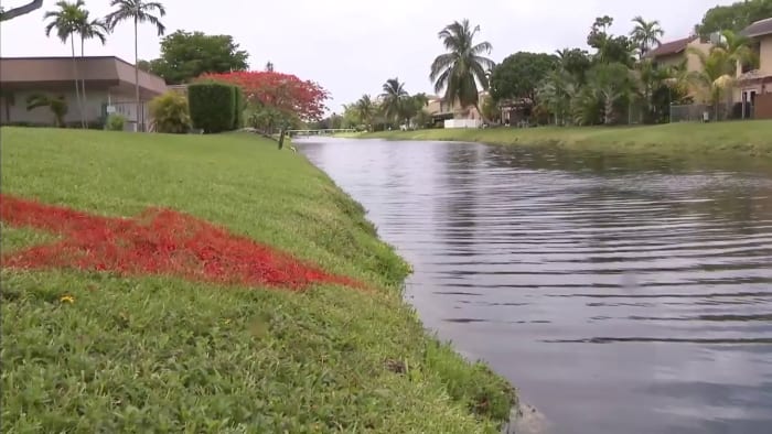 Miami-Dade medical examiner confirms Alejandro Ripley, 9, drowned in canal