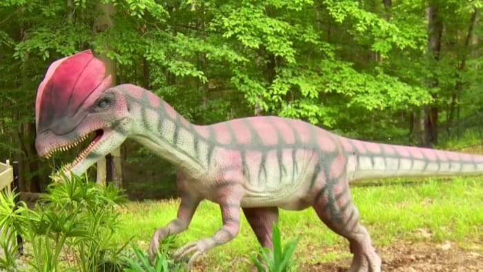 T-Rex Trail returns to Explore Park