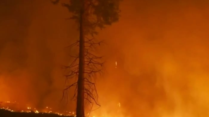 Michiganders across the state worry about fire danger due to extreme heat