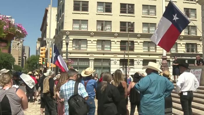 Dozens gather in protest against the Alamo Master Plan