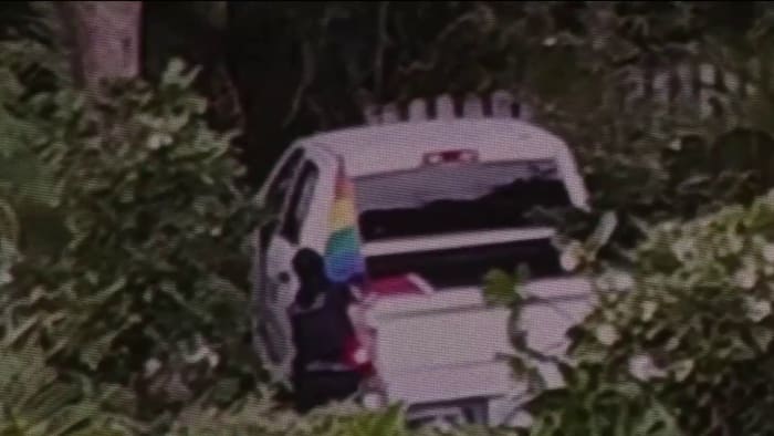 Officials say deadly Pride parade crash was not intentional