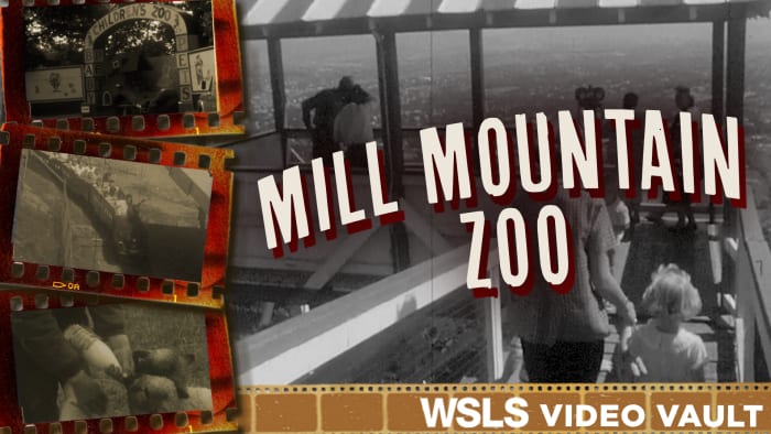 Video Vault: Mill Mountain Zoo