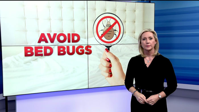 Tips To Avoid Bed Bugs