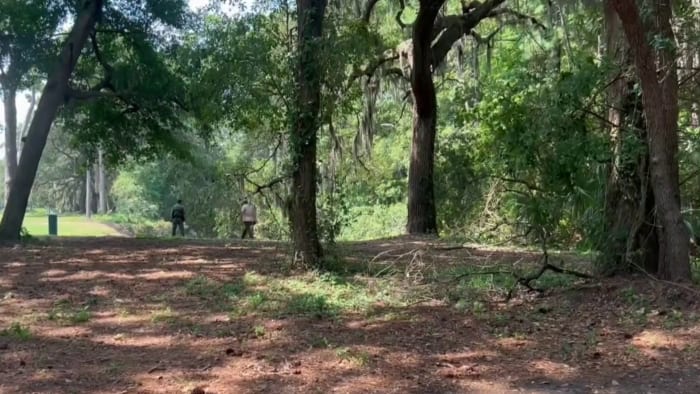 Woman, 69, dies after alligator attack near golf course