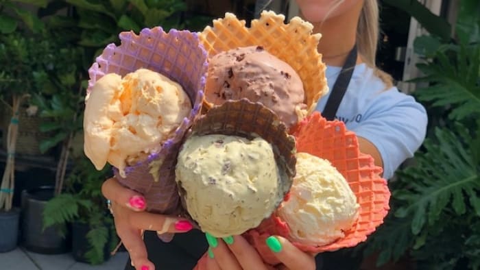 3 Michigan ice cream trips you can’t miss