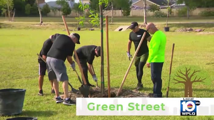 WPLG hosts second ‘Green Street’ event