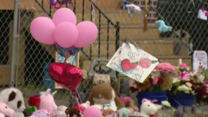 Animal control works to ramp up staff in aftermath of deadly dog mauling